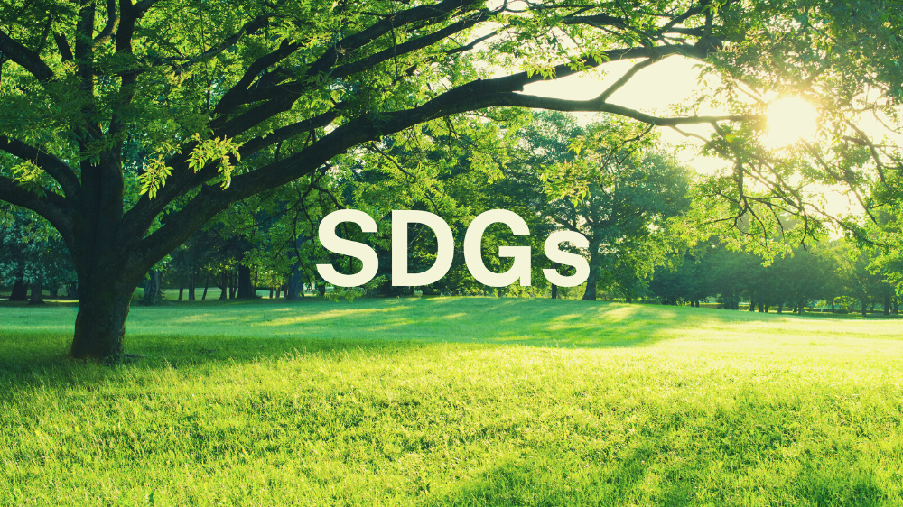 Our Approach – Lemissoler Navigation Co. Ltd